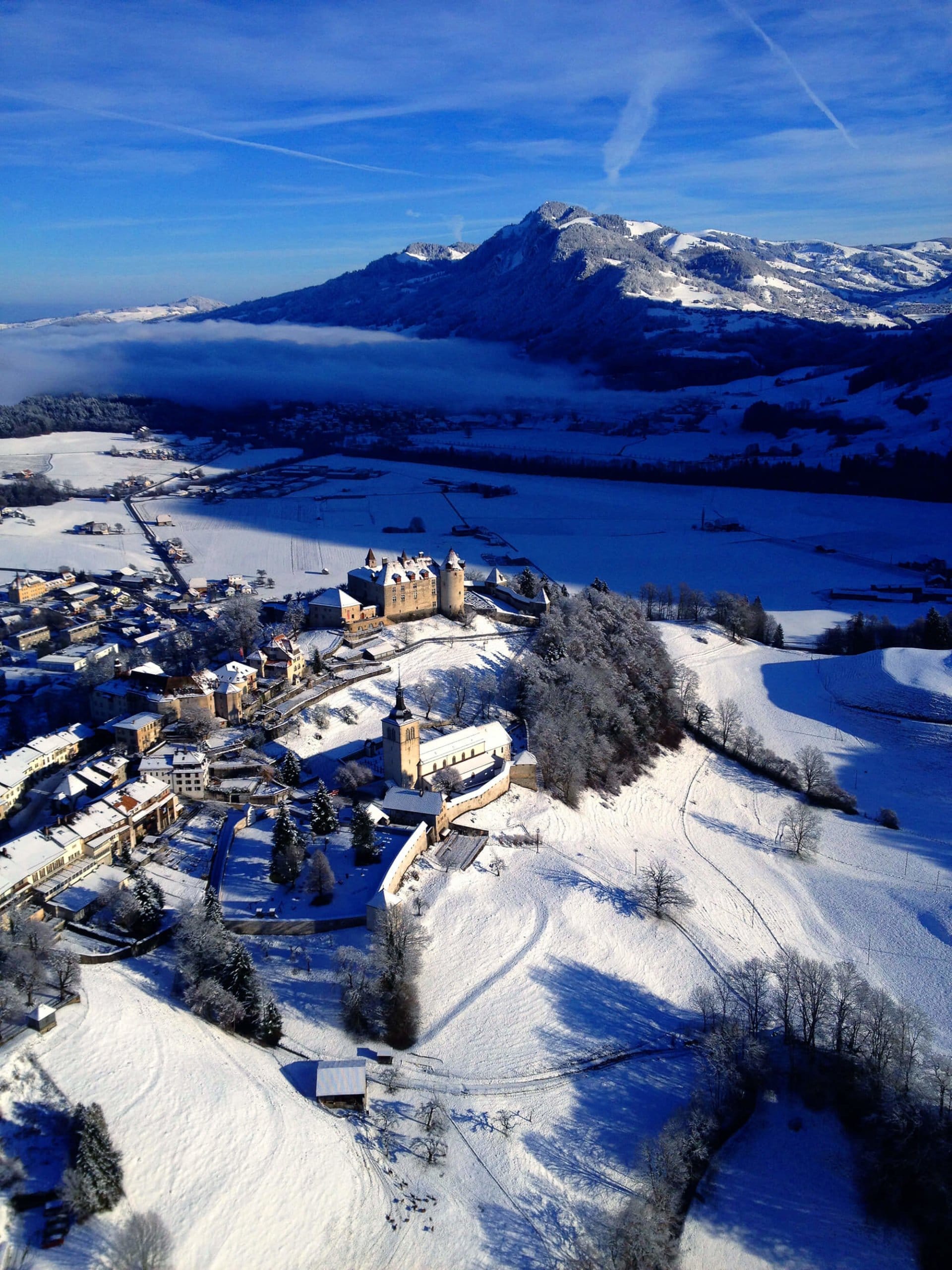 Vol en Montgolfière Fribourg | Ballons du Léman